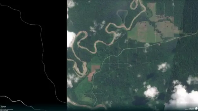 Perusahaan sawit di Papua buka lahan 70 hektar meski izin dicabut, 'potensi pidana' perusahaan ...