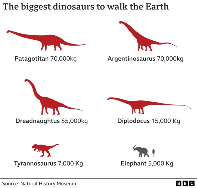 largest dinosaurs list
