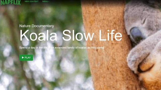 Napflix, la exitosa plataforma de videos española que ayudan a dormir la siesta - BBC News Mundo