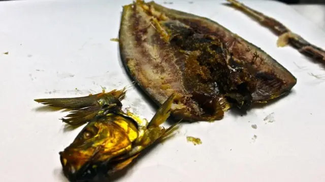 Feseekh: el mortífero plato del tiempo de los faraones que los egipcios ...