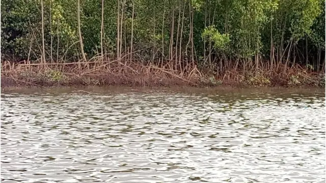 Nigerian oil spill: Santa Barbara River spoil wit weeks oil leak from ...