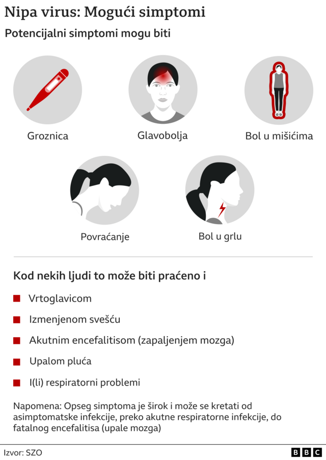 Zdravlje: Šta je nipa virus protiv kog se Indija bori - BBC News na srpskom