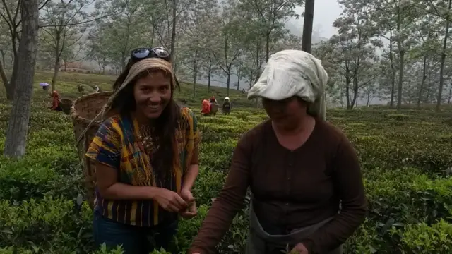 Marcela Figueroa: la salvadoreña que quiere popularizar el té en ...