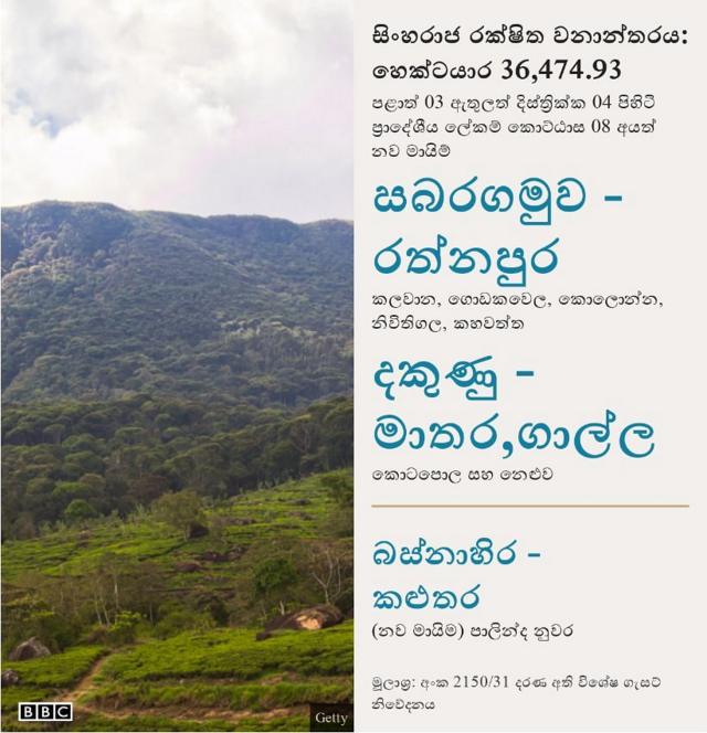 සිංහරාජ ලෝක උරුමය සහ යුනෙස්කෝ : තාක්ෂණික ගැටලු දැනගමු - BBC News සිංහල