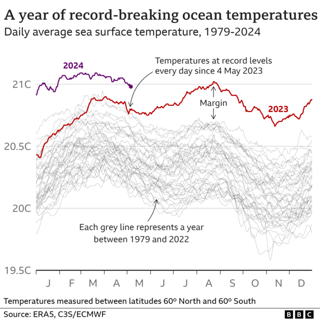 World's oceans suffer from record-breaking year of heat