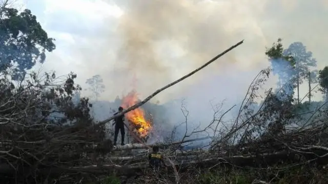'Tembak di tempat' bagi warga pembakar lahan di Jambi - BBC News Indonesia