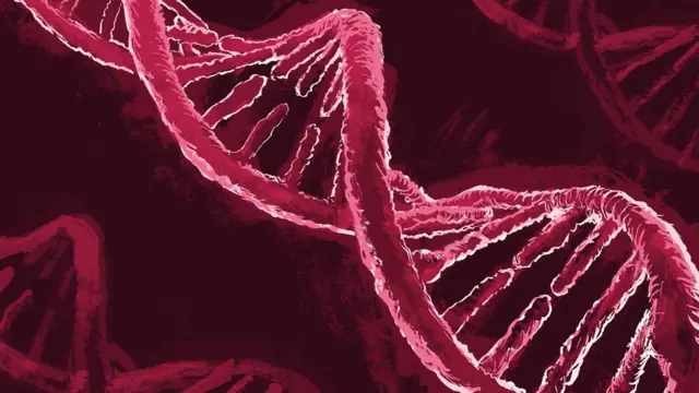 ¿Por qué tardaron tanto en darle el premio Nobel a Barbara McClintock, la científica que ...