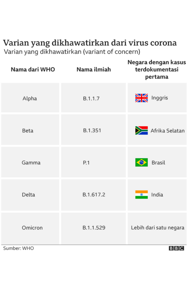 Apa itu Omicron: Hal-hal yang sejauh ini perlu diketahui tentang varian baru virus corona - BBC ...