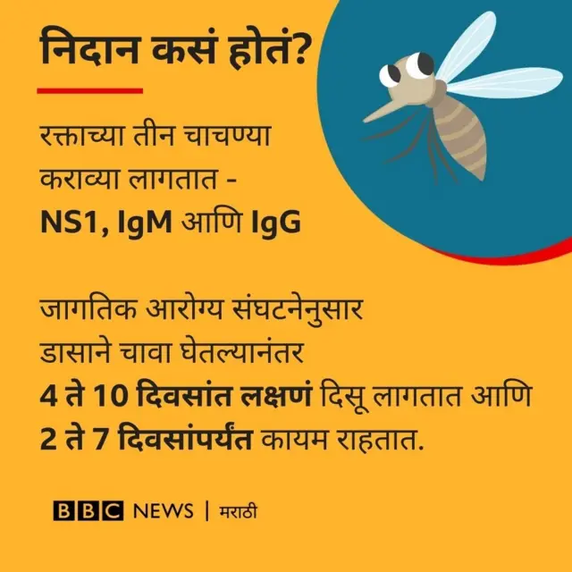 डेंग्यू लक्षणं, निदान, उपचार : पावसाळ्यात डास चावल्यामुळे होणारा हा आजार काय आहे? - BBC News मराठी