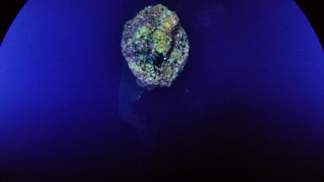 Los volcanes que se esconden en lo profundo de los océanos - BBC News Mundo