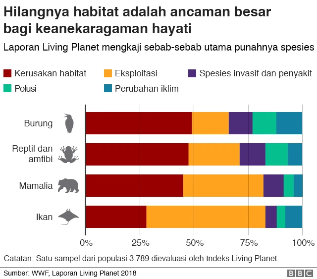 PBB: Satu juta spesies hewan dan tanaman terancam punah karena ulah manusia - BBC News Indonesia