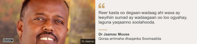 Sumadda xoolaha Soomaalida: Ururin xog iyo faallayn - BBC News Somali