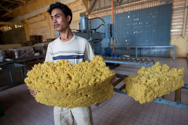 Karet, material penting bagi dunia, terancam habis - BBC News Indonesia