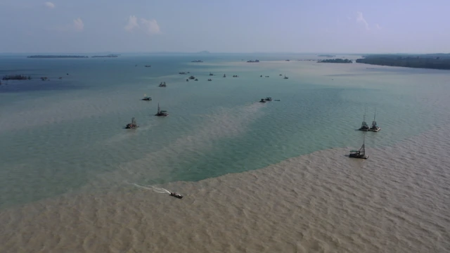 Konflik buaya dan manusia di Indonesia terparah di dunia, ratusan orang kehilangan nyawa ...