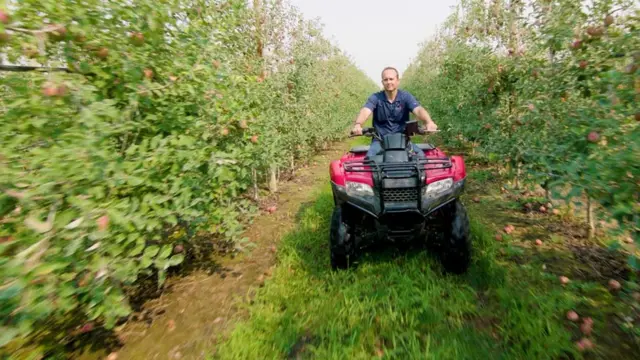 Cosmic Crisp: la nueva manzana en la que se han invertido millones de ...