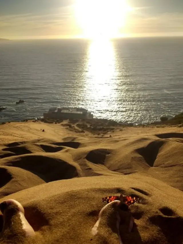 Lo que encuentras cálido en imágenes y un nuevo desafío fotográfico ...