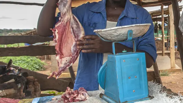 Impene zo muri Uganda zatumye izishika 4000 mu Burundi zipfa - BBC News ...