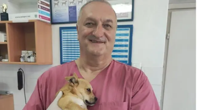 Svetski dan veterinara: Ljubav koja je postala posao - BBC News na srpskom
