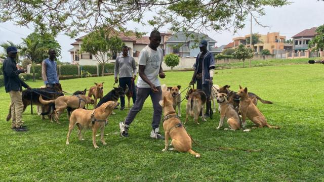 Rwanda: Daniel Bagaragaza wiyita ‘imbwa nkuru’ yaguze ubutaka abugira ...