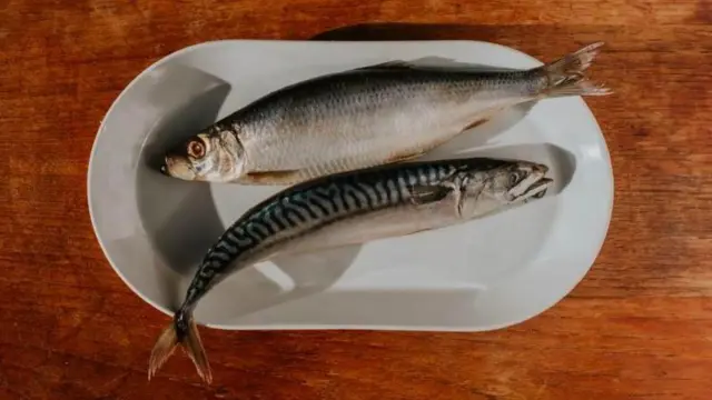 Wetin be di health benefits of oily fish? - BBC News Pidgin