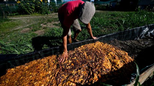 Xaa'oo uumamaa baasii qusatuu fi biyyee dhukkubsate fayyisu attamiin ...