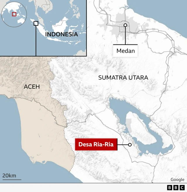 Food Estate Sumatra Utara: Perjuangan perempuan Desa Ria-Ria di lumbung ...