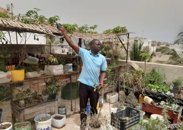 Autonomie alimentaire : Abdou Touré, l'homme qui cultive ce qu'il mange ...