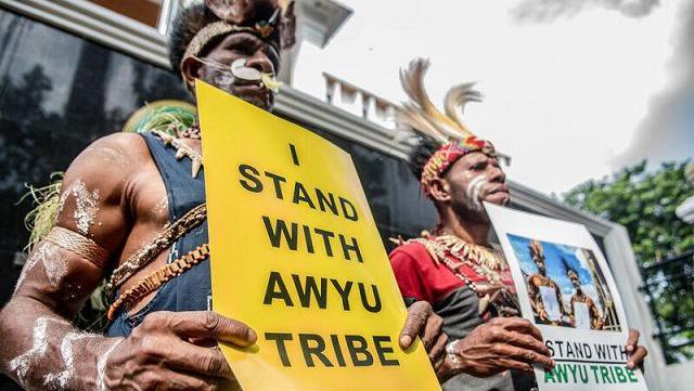 Hakim PTUN Jayapura tolak gugatan suku Awyu yang menentang perkebunan ...