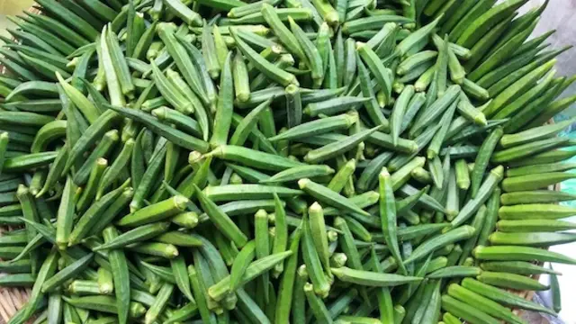 Le gombo : les origines de ce légume typique de l'alimentation ...