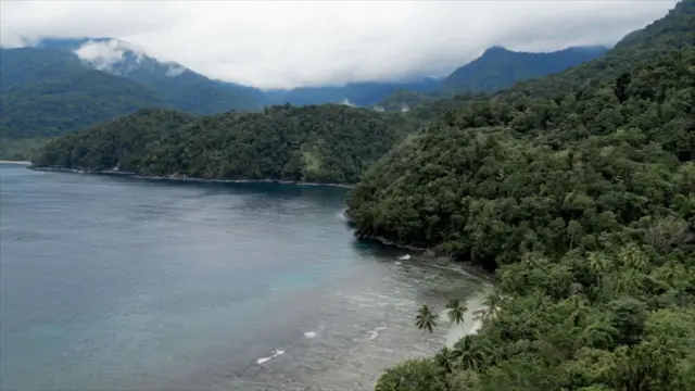 Papua: Tujuh suku pelindung gunung dan laut di Pegunungan Cycloop - BBC ...