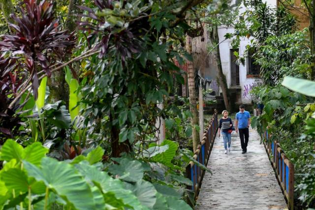 Medellín, la ciudad colombiana que logró reducir el calor con un ...