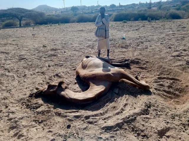 Dhukkubni maalummaansaa hin beekamneefi gaala Karrayyuu ajjeesaa jiru ...