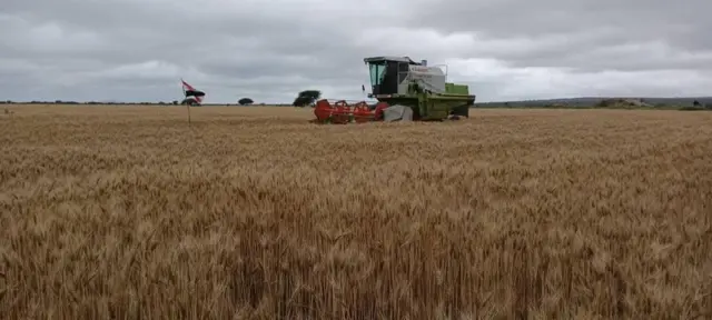 'Kanaan dura lafa qotuu suuraa qofaan argaa turre' - Horsiise bultoota ...