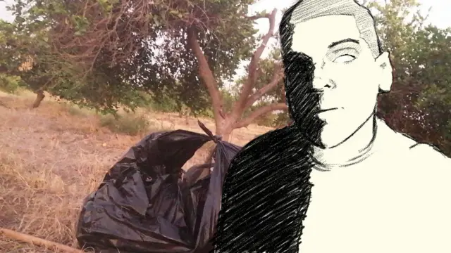 "Viajé de Colombia a México a cuidar limones y acabé trabajando para un ...