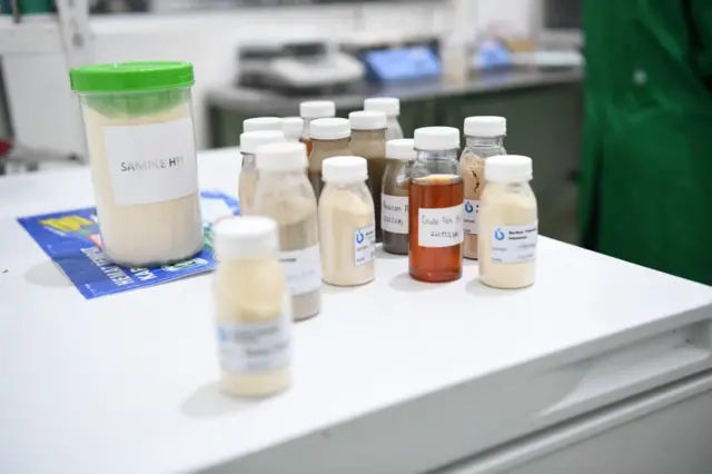 Susu ikan: Apa itu susu ikan dan mengapa produk ini menuai kontroversi program Makan Bergizi ...