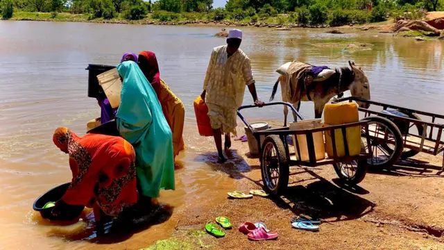 Matsalar ruwa a Kano: 'Yadda muke shan ruwa tare da dabbobinmu a rafi ...