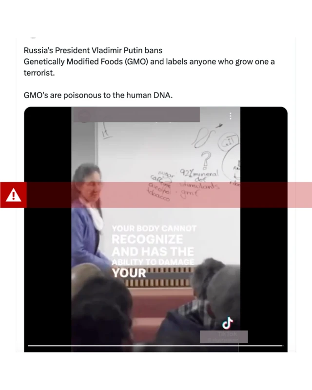 GMO in Nigeria: Misleading claims about genetically modified foods wey no true - BBC News Pidgin