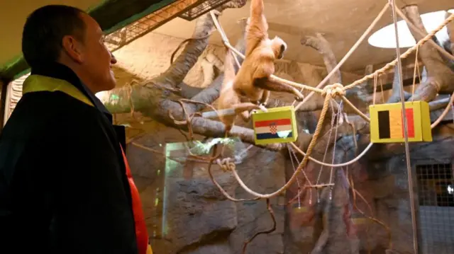 Waancaa Addunyaa eenyu akka mo’atu tilmaamuuf wantota gargaaran - BBC ...