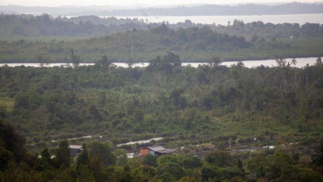 Rempang Eco City: Peran Tomy Winata di balik investasi China - BBC News Indonesia