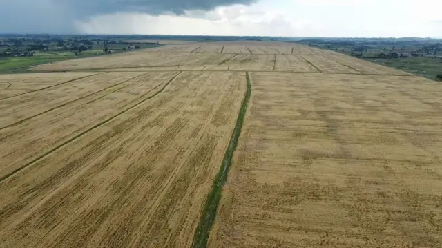 Itoophiyaan osoo qamadii alaa galchituu alatti erguu dandeessii? - BBC ...