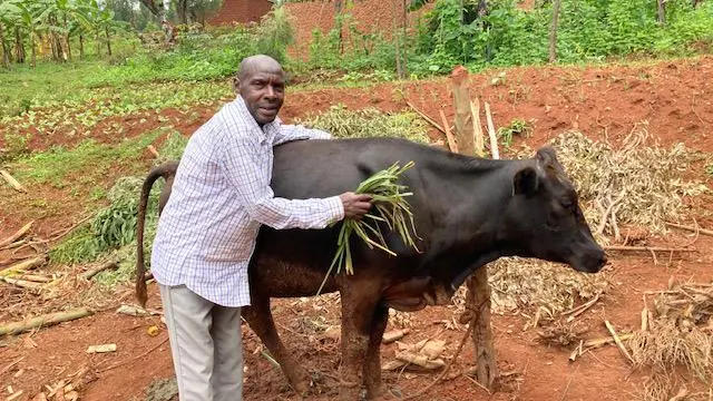 Rwanda-Jenoside: Imbaraga mu gufasha abacitse ku icumu bafite ...