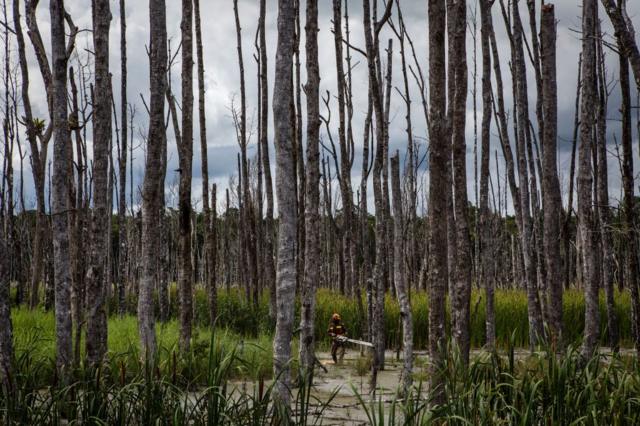 Konflik agraria: Sengketa tambang emas Pohuwato yang berujung pembakaran kantor bupati - ‘Puncak ...