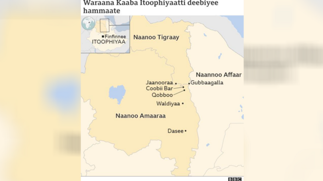 'Humnoonni Tigraay Qobbootti manarra deemanii sakatta'aa turan ...