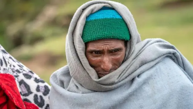 Tibbana Itoophiyaatti qorri maaliif hammaate? - BBC News Afaan Oromoo