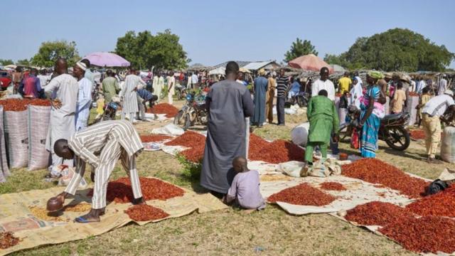 Najeriya da Nijar: Juyin mulkin da ya gwara kan aminan juna biyu a ...