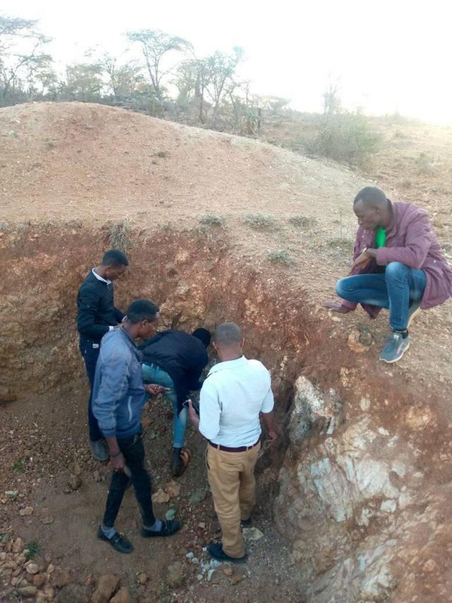 Qabeenyi albuudaa Booranaa jireenya horsiisee-bulaa jijjiiruuf abdatame ...