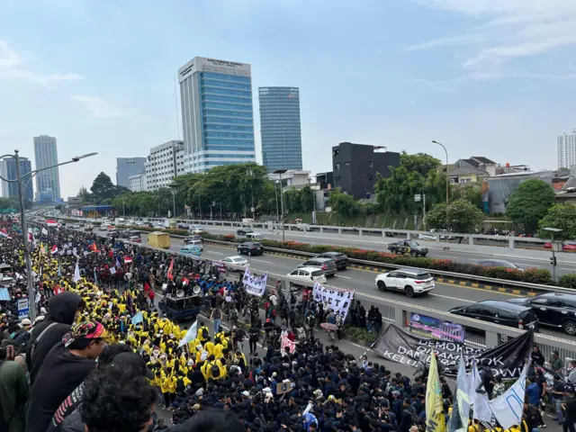Demo hari ini: Mengapa Garuda Pancasila digunakan dalam 'peringatan darurat Indonesia' dan ...