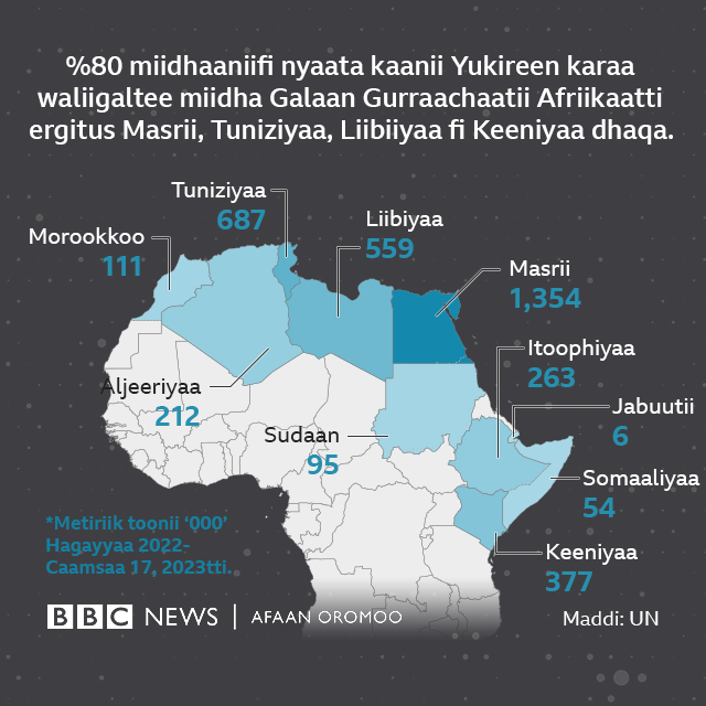 Yukireen qamadii alatti akka ergituuf waliigalteen baatii lamaaf ...