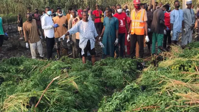 Jigawa tanker explosion: Why dis kain accidents continue to dey happun for Nigeria and how to ...