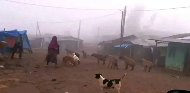 Masalaa: Magaalaa waraabessi sarootaafi nama waliin guyyaa keessa ‘shir ...